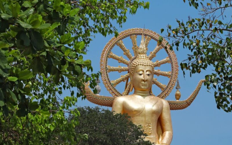 Koh Samui: Half-Day Highlights Tour with Hotel Transfers - Final Verdict: Is it Worth It?