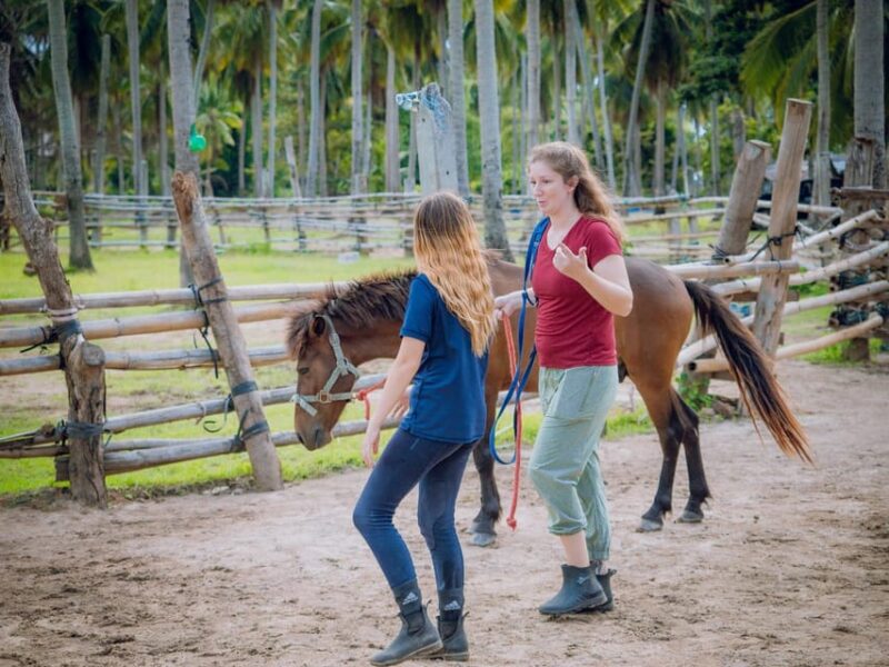 Koh Samui Horse Riding & Beach Trails - Who Should Consider This Tour?