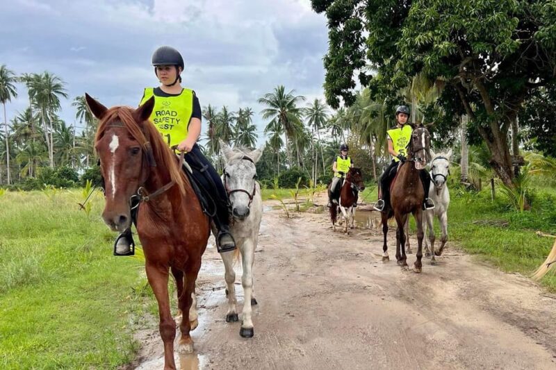 Koh Samui Horse Riding & Beach Trails - The Sum Up: Is Koh Samui Horse Riding & Beach Trails Worth It?