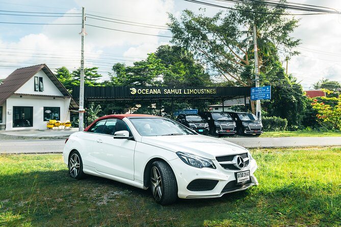 Koh Samui Island Half-Day Private Tour by Luxury Vehicle - The Pros and Cons