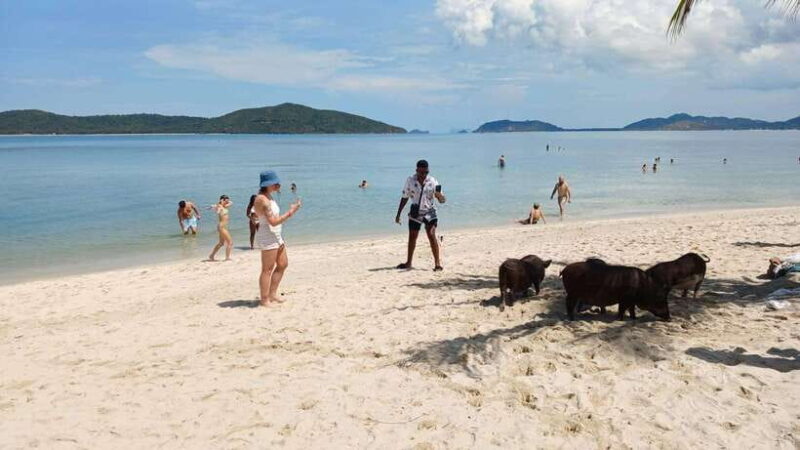 Koh Samui: Island Hopping Adventure in Coral and Pig Island - FAQ about Koh Samui Island Hopping Tour