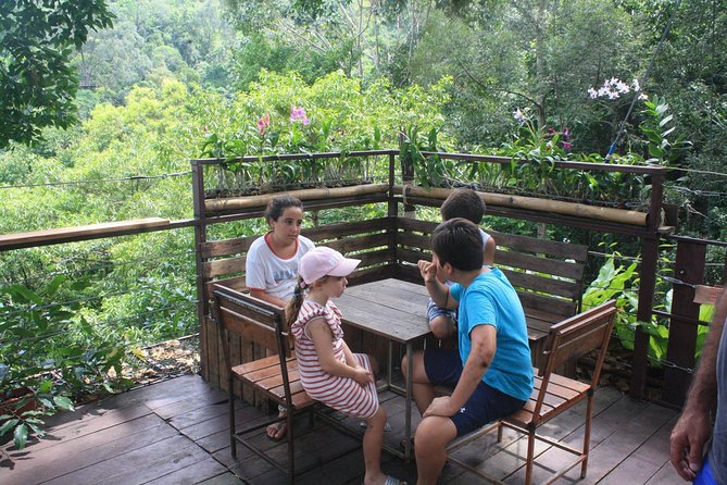 Koh Samui Jungle Safari Around The island Tour - The Sum Up