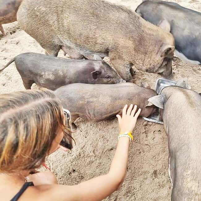Koh Samui: Koh Mudsum & Koh Tan by Longtail Boat with Lunch - Key Points