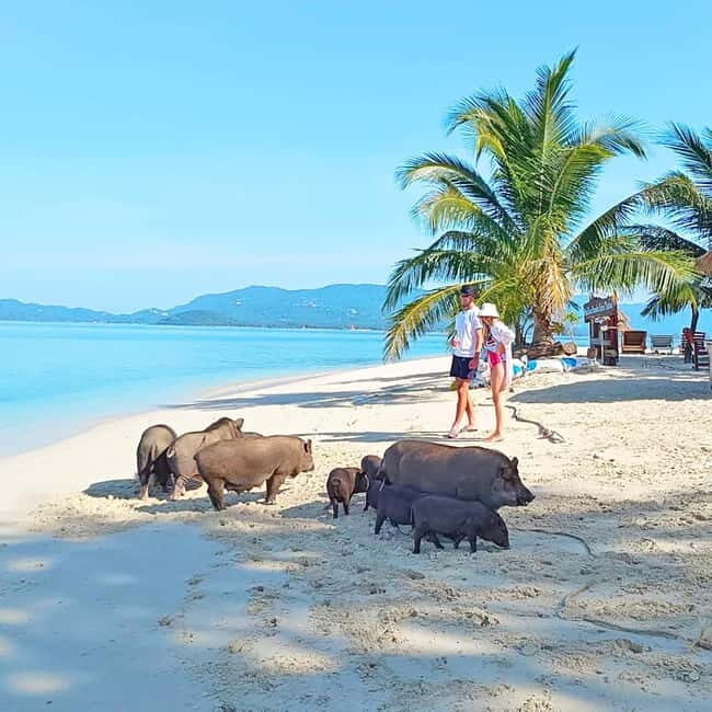 Koh Samui: Koh Mudsum & Koh Tan by Longtail Boat with Lunch - What the Reviews Say