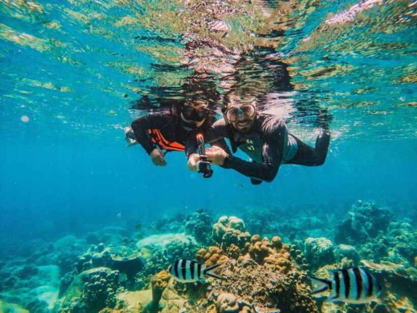 Koh Samui: Koh Tao and Nangyuan Snorkeling Tour with Lunch - Final Thoughts: Who Is This Tour For?