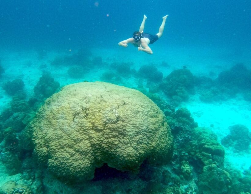 Koh Samui: Koh Tao & Nang Yuan Day Tour with Snorkel, Lunch - Key Points