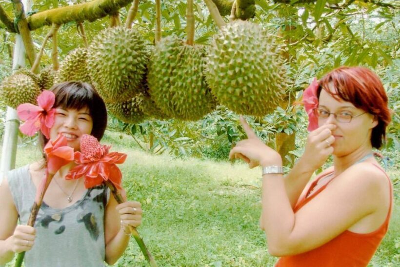 Koh Samui: Mr.Ung's 4WD Wild Jungle Safari Tour with Lunch - FAQ
