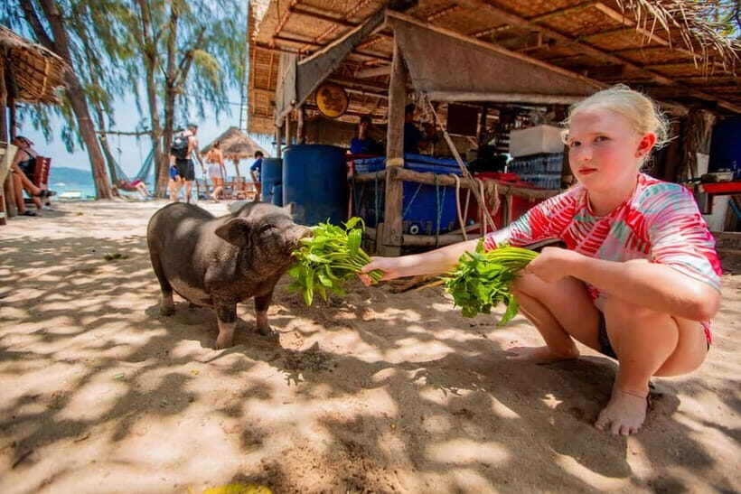 Koh Samui: Pig Island Day Tour by Speedboat - Key Points