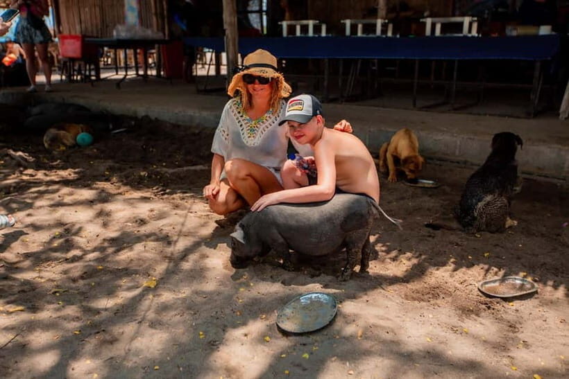 Koh Samui: Pig Island Day Tour by Speedboat - Who Will Love This Tour?