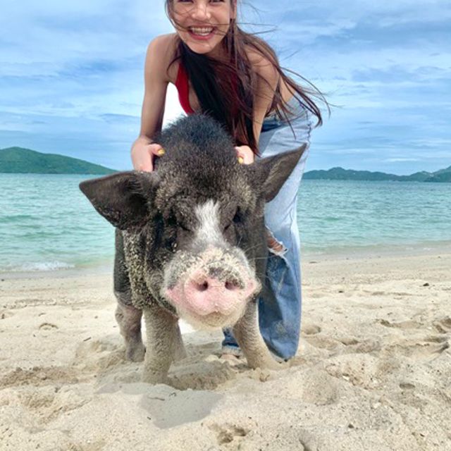 Koh Samui: Pig Island Tour by Speedboat with Snorkeling - Authentic Feedback from Travelers