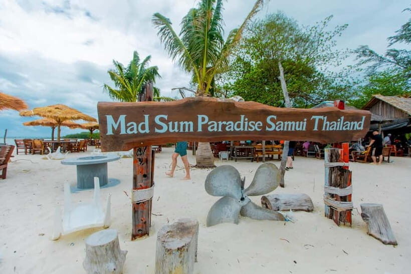 Koh Samui: Pink Dolphin Spotting & Pig Island Speedboat Tour - Koh Samui: Pink Dolphin Spotting & Pig Island Speedboat Tour — An Authentic Wildlife Adventure