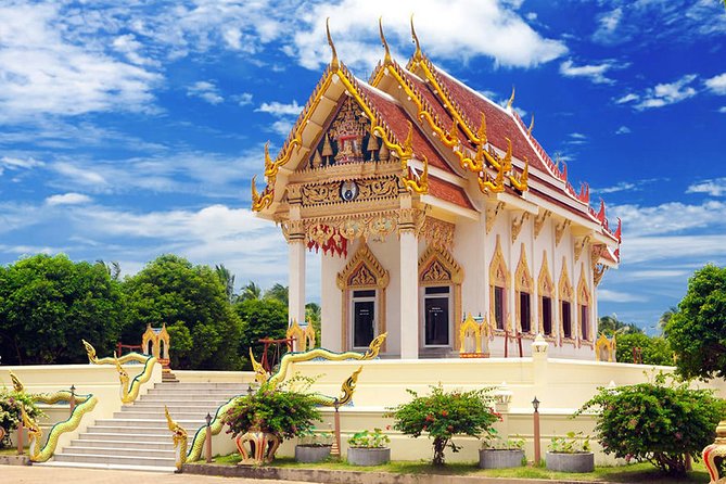 Koh Samui Private Customized Tour with Driver - Final Thoughts