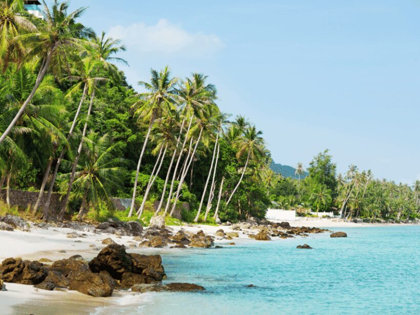 Koh Samui: Private Half-day Taxi Tour in the South - The Transport and Logistics