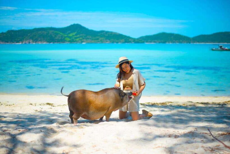 Koh Samui: Private Longtail Boat to Pig Island with Snorkel - Who Will Love This Tour?