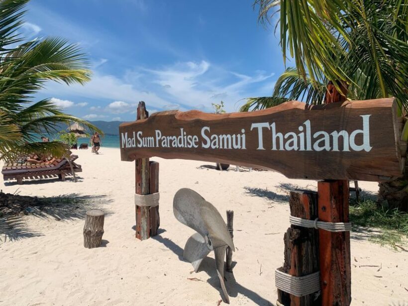 Koh Samui: Private Speedboat to Pig Island with Snorkeling - The Sum Up