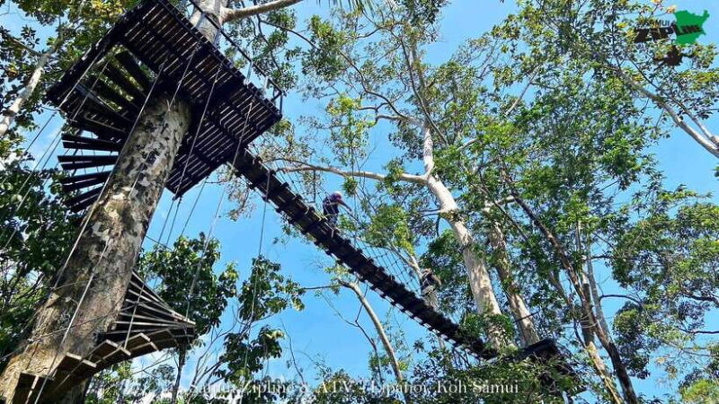 Koh Samui: Samui Zipline Adventure with Transfer service - Final Thoughts: Who Will Love This?