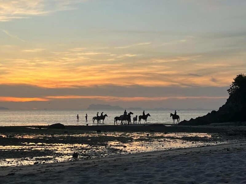 Koh Samui: Sunset Trail Horse Riding on The Beach - What the Experience Looks Like