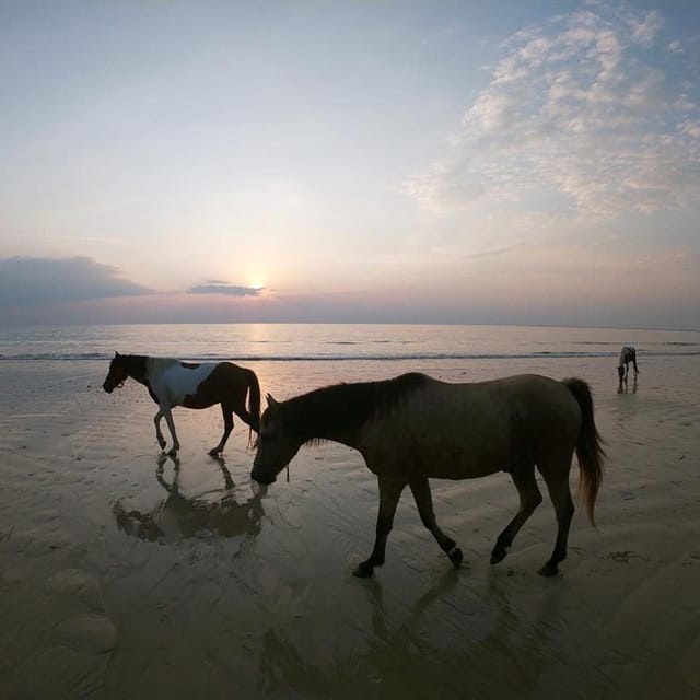 Koh Samui: Sunset Trail Horse Riding on The Beach - The Authenticity and Value