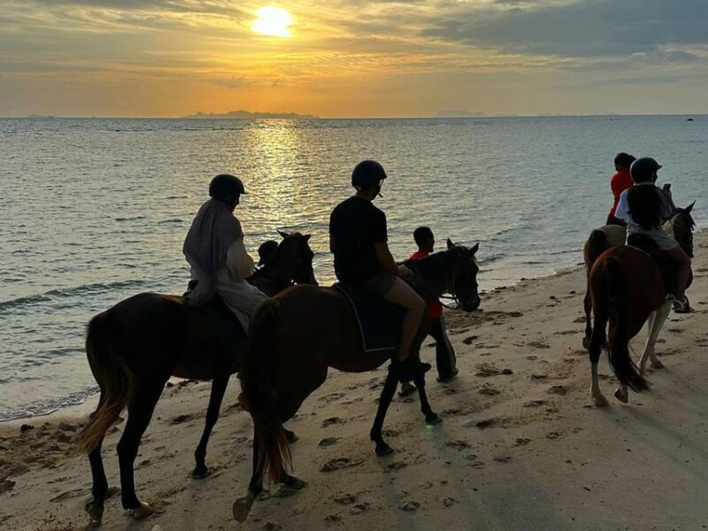 Koh Samui: Sunset Trail Horse Riding on The Beach - Practical Tips for Participants