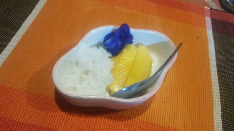 Koh Samui: Thai Cooking Class with Local Market Tour - Who Will Love This Experience?
