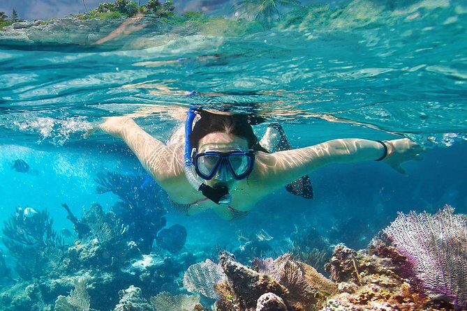 Koh Taen & Mudsum: Island Hopping and Snorkeling from Koh Samui - FAQ