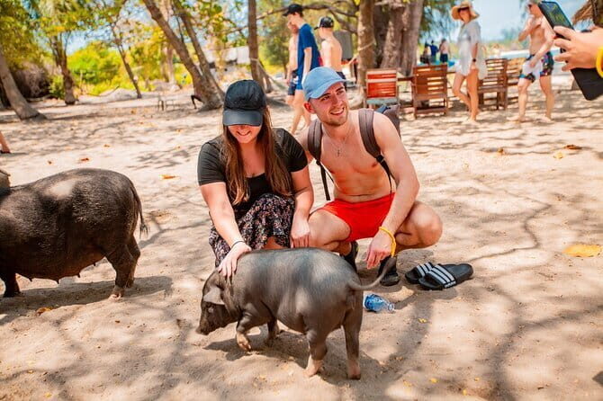 Koh Tan and Pig Island Half-Day Tour by Speed Catamaran - Key Points
