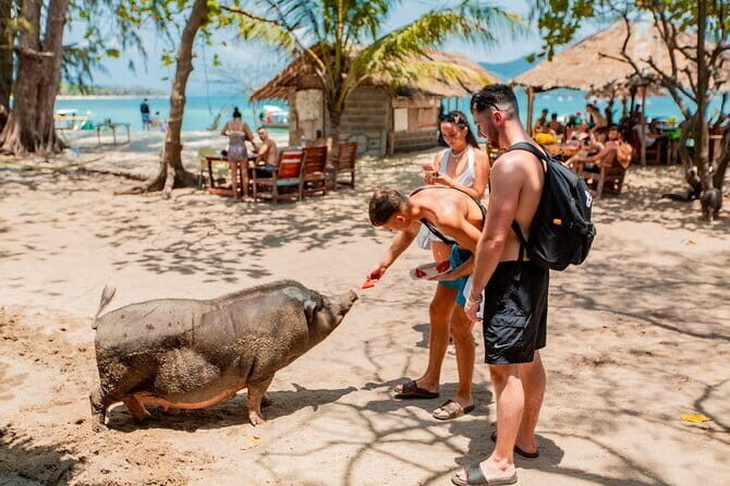Koh Tan and Pig Island Half-Day Tour by Speed Catamaran - What You’ll Love About This Tour