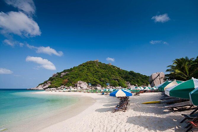 Koh Tao and Koh Nang Yuan Speedboat Tour from Koh Samui - Who This Tour is Best For
