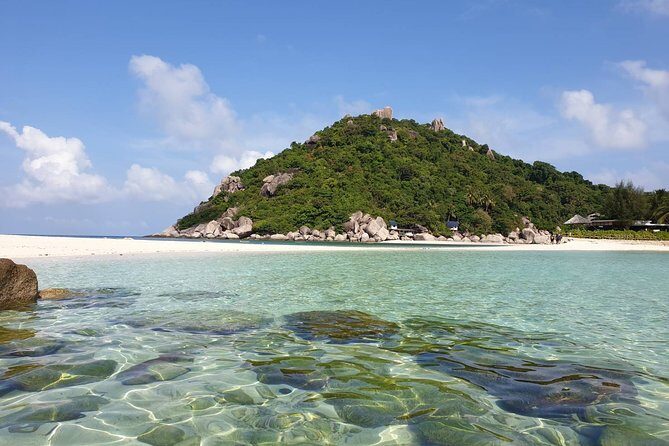 Koh Tao and Koh Nangyuan Premium Trip By Speedboat From Koh Samui - The Sum Up