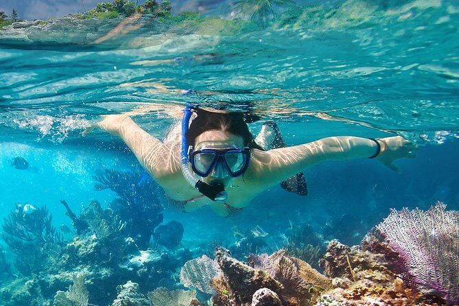 Koh Tao and Koh Nangyuan Snorkeling Tour by Speedboat from Ko Samui - Transportation and Group Dynamics