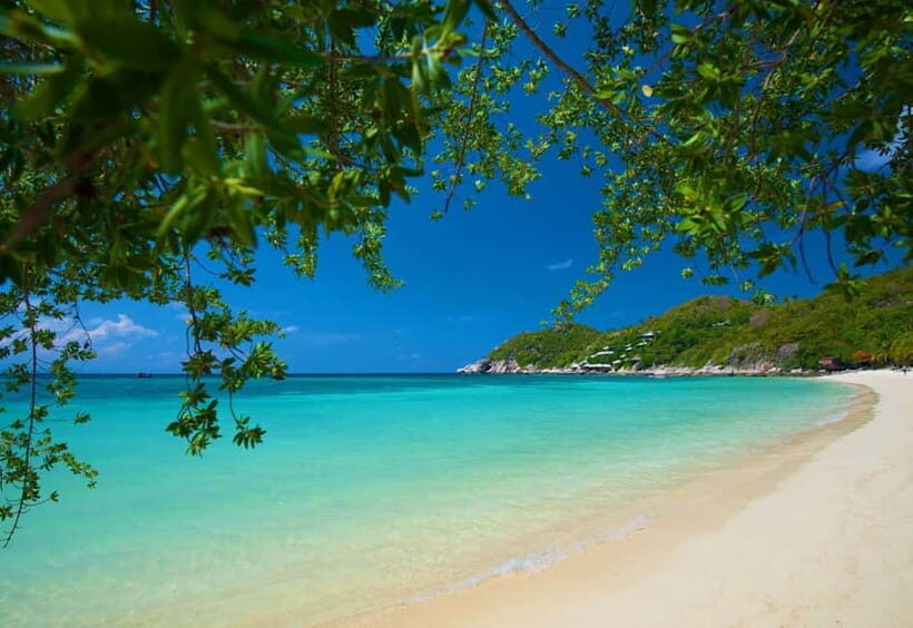 Koh Tao: First Light Snorkel Adventure with Oxygen Tours - Key Points