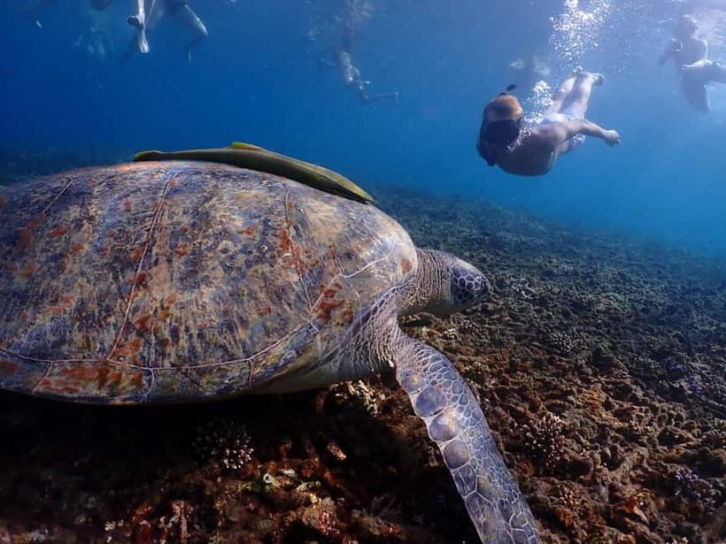 Koh Tao: Golden Hour Getaway  Your Late Start to Paradise - The Highlights in Detail