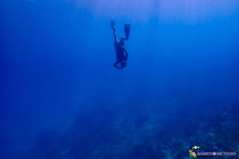 Koh Tao: Islands Snorkeling Highlights Day Tour & Lunch - Key Points