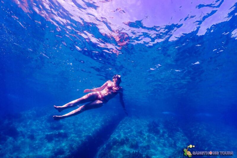 Koh Tao: Islands Snorkeling Highlights Day Tour & Lunch - FAQ: Common Questions About the Koh Tao Snorkeling Tour