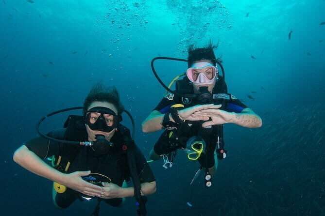 Koh Tao & Koh Nang Yuan Trip By Speedboat From Koh Samui - Authentic Experiences and Tips