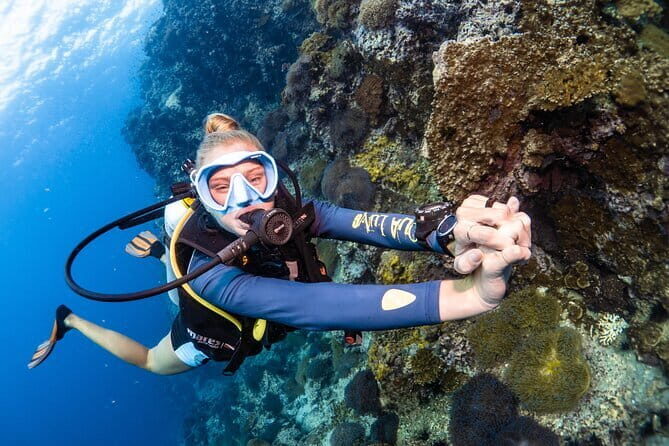 Koh Tao & Koh Nang Yuan Trip By Speedboat From Koh Samui - Practical Details and Logistics