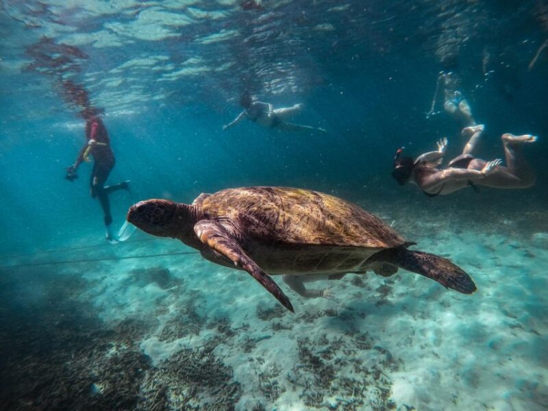 Koh Tao: Koh Nangyuan and the Hidden Bays Trip by the Oxygen - The Practicalities: What You Need to Know