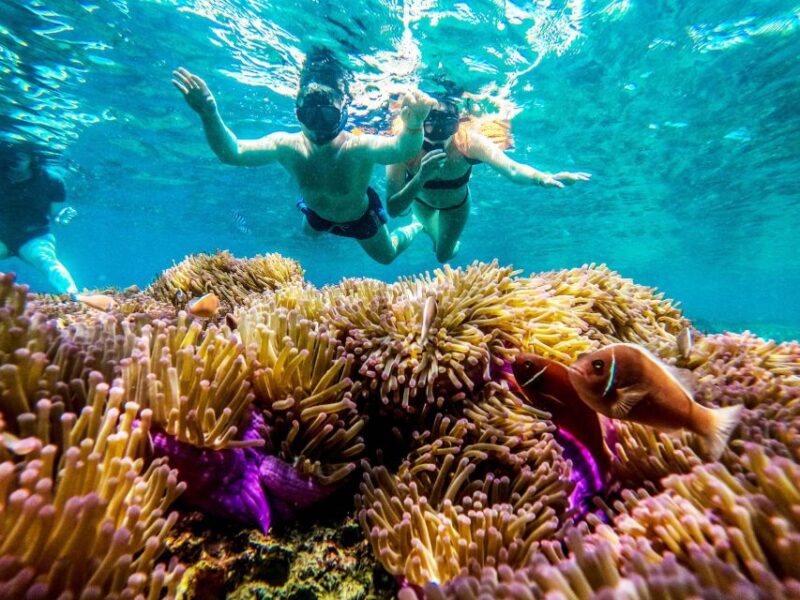 Koh Tao: Koh Nangyuan and the Hidden Bays Trip by the Oxygen - Authentic Reviews from Travelers