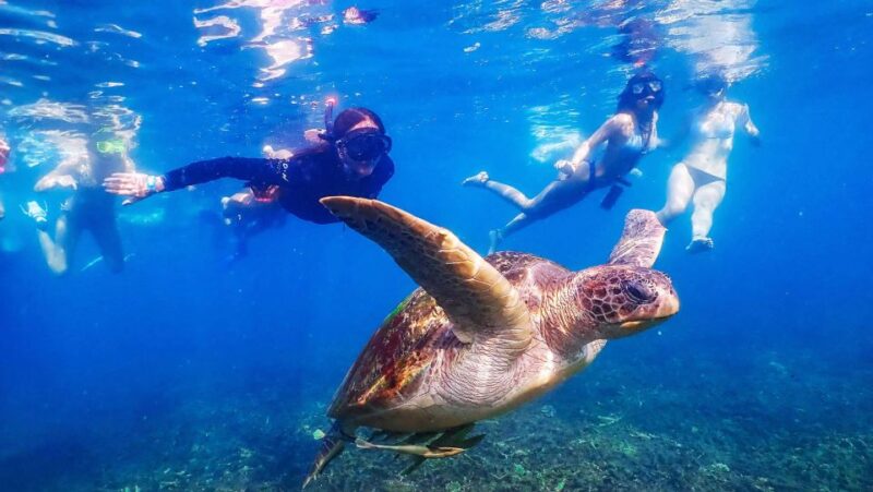 Koh Tao: Koh Nangyuan and the Hidden Bays Trip by the Oxygen - The Sum Up: Who Should Consider This Trip?