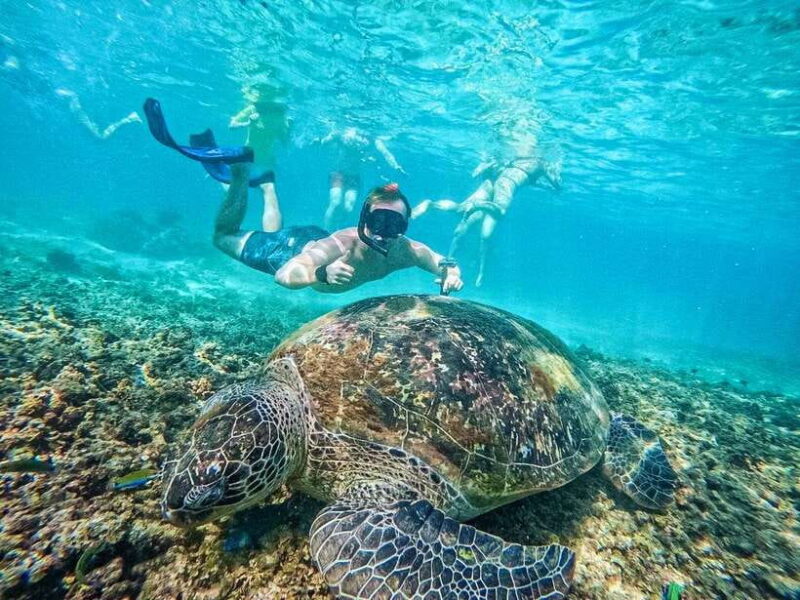 Koh Tao: Koh Nangyuan & Hidden Bays Snorkeling Tour w/ Lunch - Key Points