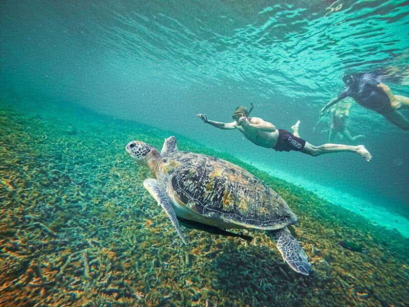 Koh Tao: Koh Nangyuan & Hidden Bays Snorkeling Tour w/ Lunch - Exploring the Bays: Hin Wong, Leuk Bay, and Shark Bay