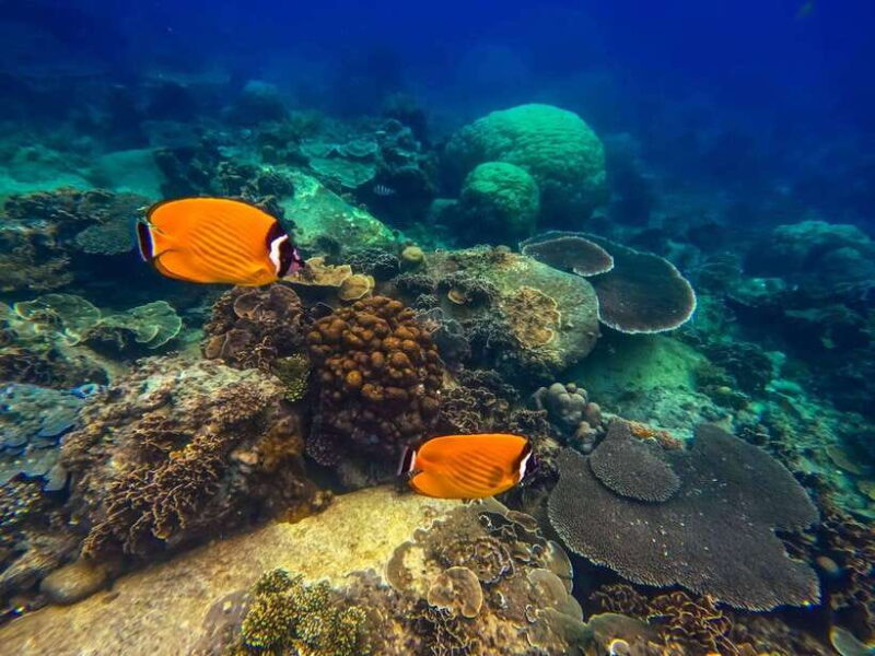 Koh Tao: Koh Nangyuan & Hidden Bays Snorkeling Tour w/ Lunch - What Sets This Tour Apart?