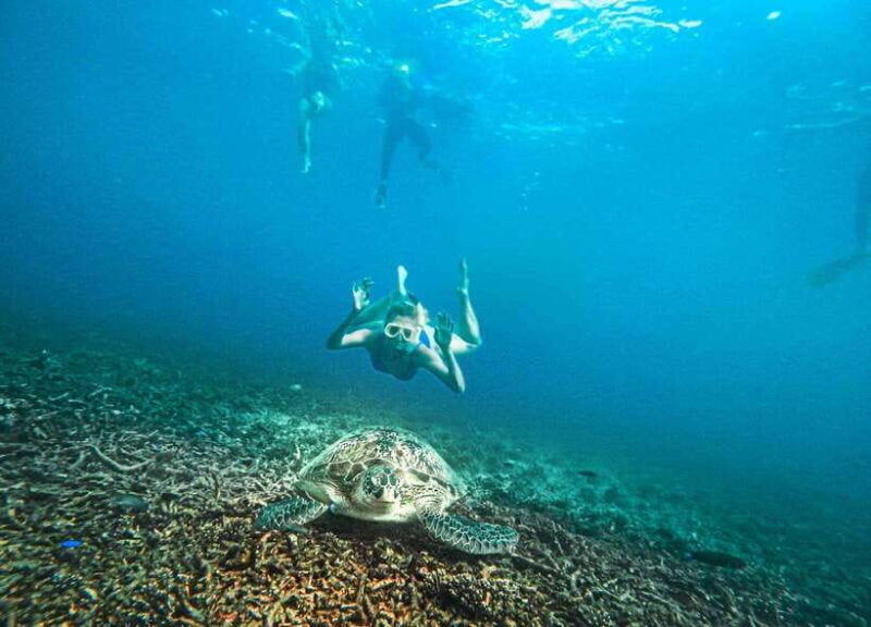 Koh Tao: Koh Nangyuan & Hidden Bays Snorkeling Tour w/ Lunch - Final Thoughts: Who Will Love This Tour?