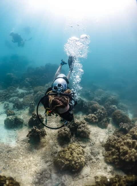 Koh Tao: PADI Premium Open Water Diver Course (2.5 Days) - Equipment and Materials