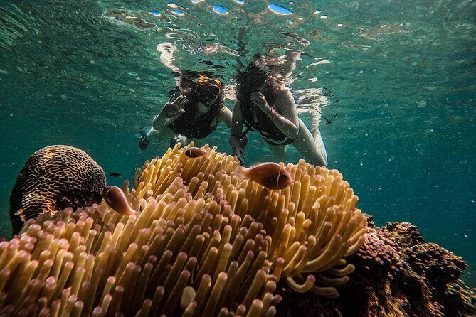 Koh Tao Snorkeling and Island Hopping Tour (Private) - A Detailed Breakdown of the Itinerary