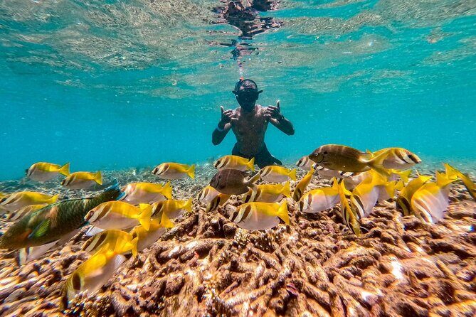 Koh Tao Snorkeling and Island Hopping Tour (Private) - The Experience: Practical Insights