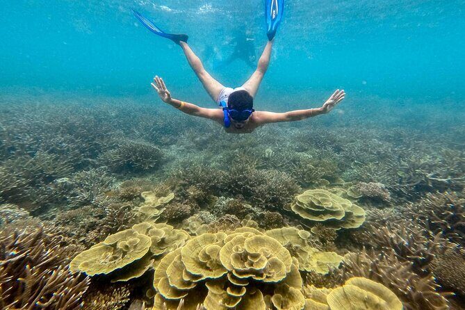 Koh Tao Snorkeling and Island Hopping Tour (Private) - FAQ