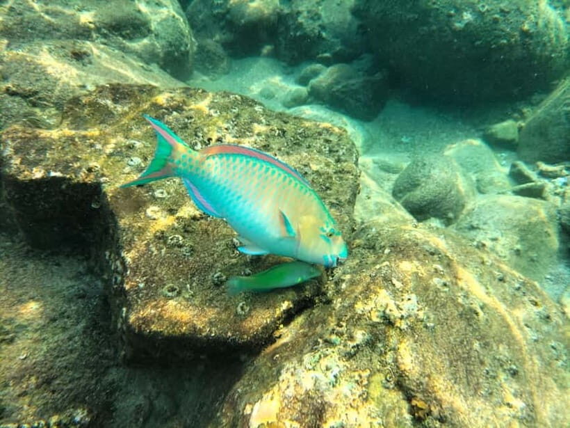 Koh Tao: Snorkeling and Sunset Tour - FAQs