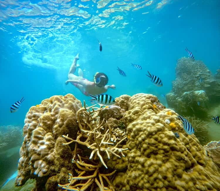 Koh Tao: Snorkeling Trip to Nang Yuan Island & Hidden Bays - The Experience: What You Can Expect from Start to Finish