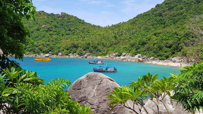 Koh Tao: Underwater Gems, Island Hopping & Snorkel Adventure - Key Points